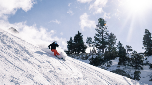 Quel est son niveau de ski ? Apprendre & Progresser